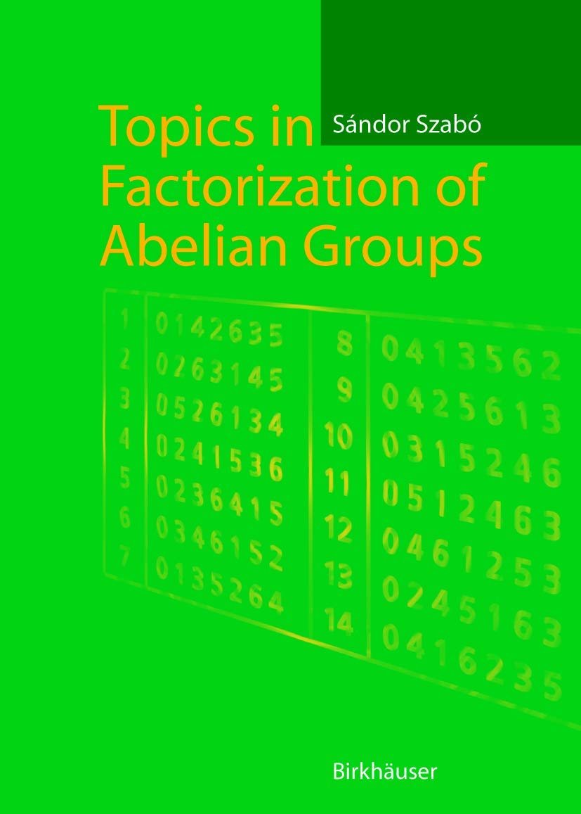 Topics In Factorization Of Abelian Groups Campus Book House